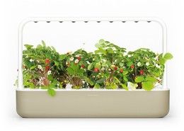 Click And Grow Smart Garden 9 Start Kit