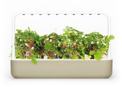 Click And Grow Smart Garden 9 Start Kit