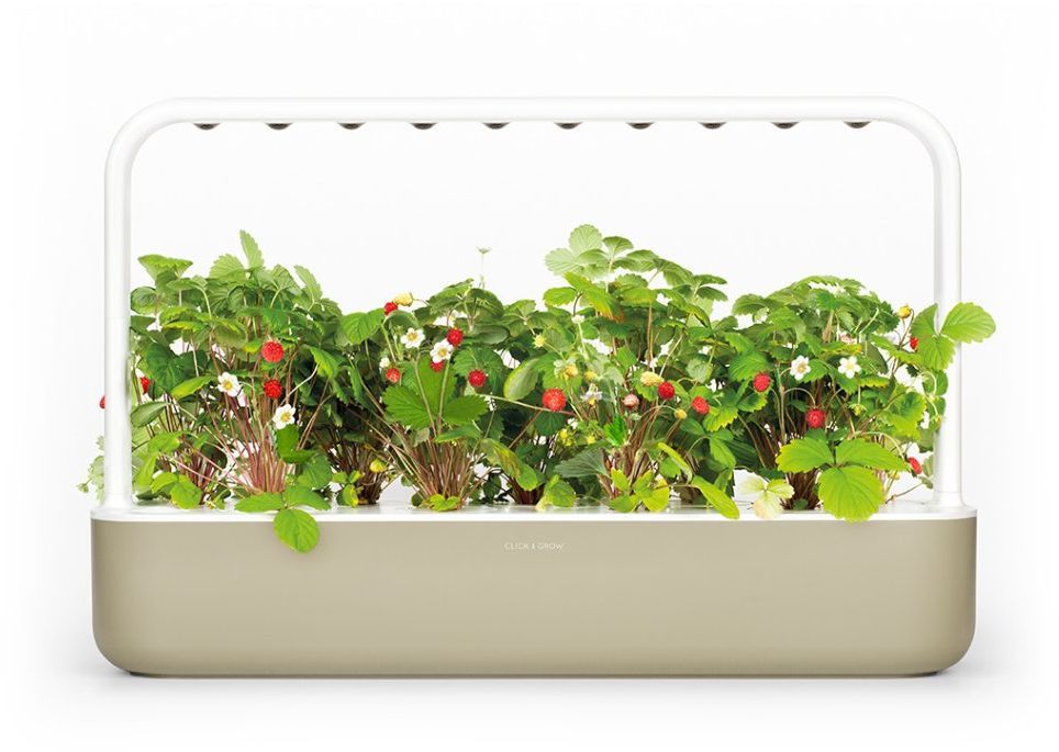 Click And Grow Smart Garden 9 Start Kit